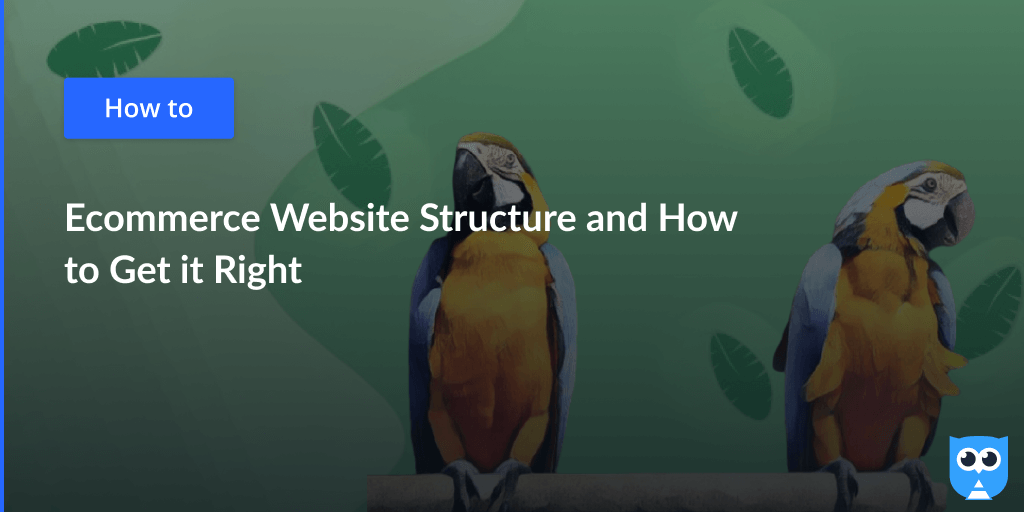 Ecommerce Website Structure and How to Get it Right – Netpeak Software Blog