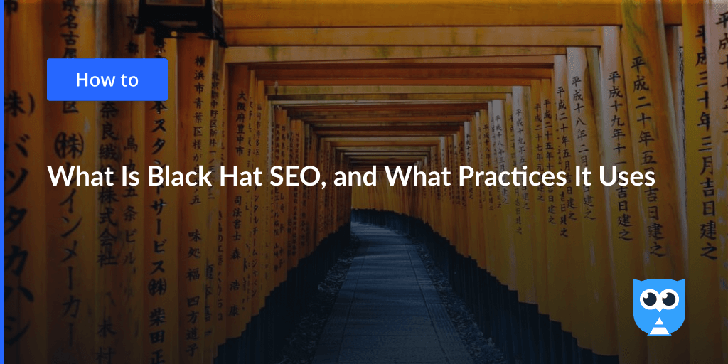 What Is Black Hat SEO, and What Practices It Uses – Netpeak Software Blog