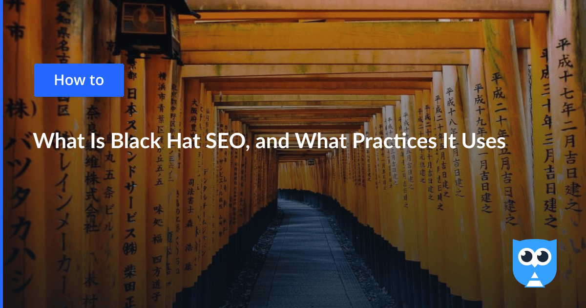 What Is Black Hat SEO, and What Practices It Uses – Netpeak Software Blog