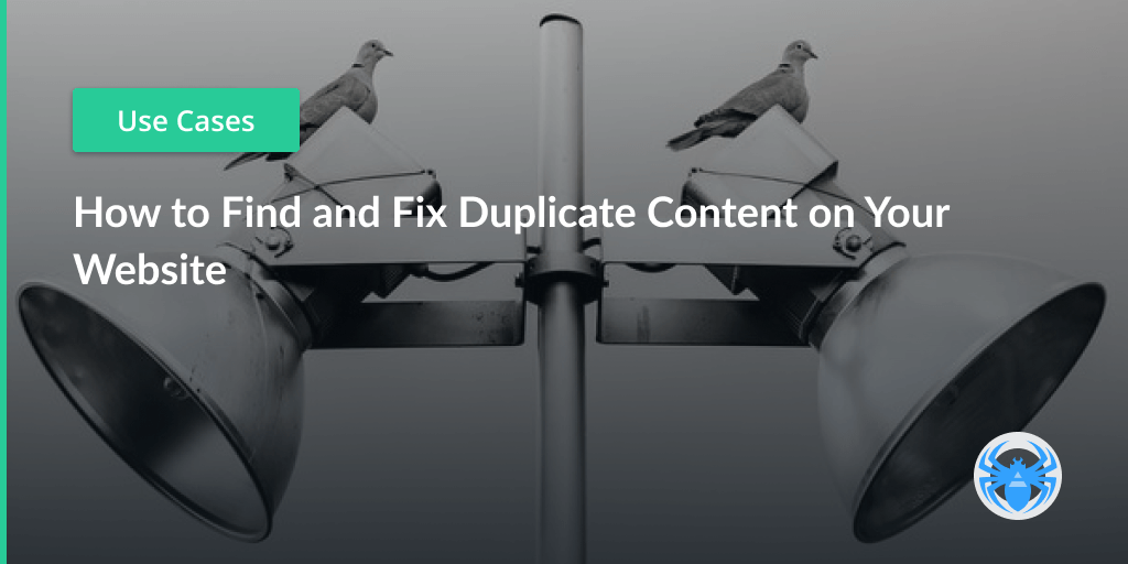 How to Find and Fix Duplicate Content on Your Website – Netpeak Software Blog