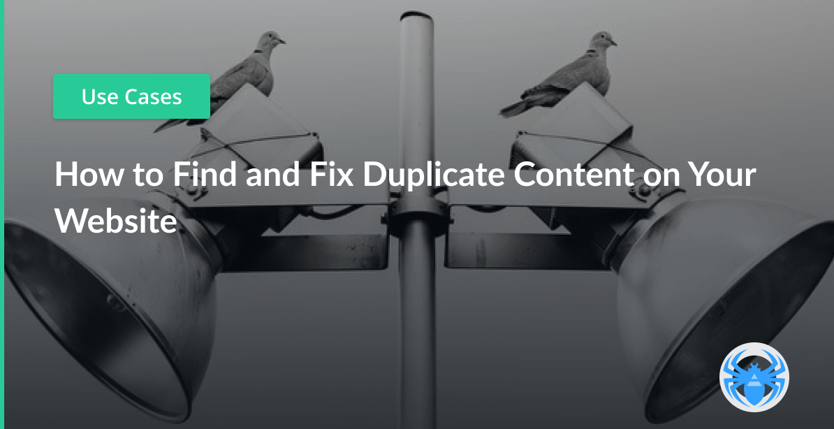 How to Find and Fix Duplicate Content on Your Website – Netpeak Software Blog