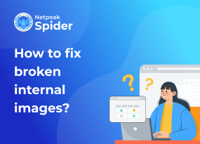 Everything You Need to Know About Broken Image with Netpeak Spider – Netpeak Software Blog