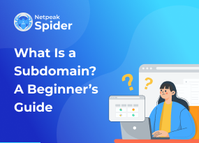 What is a Subdomain And When do You Need it? – Netpeak Software Blog